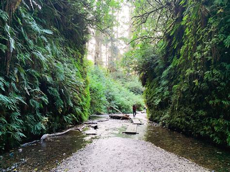 Best Things To Do In Eureka California Full Weekend Guide Tips