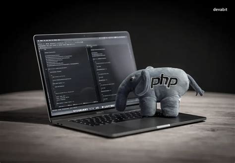 PHP Framework Popularity Breakdown
