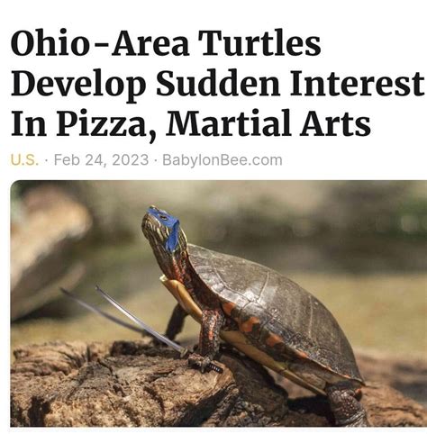 🍕 R Funnymemes