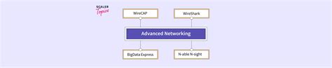 Advanced Networking Scaler Topics