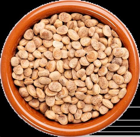 Charoli The Spice Factory