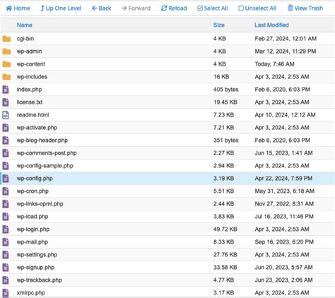 wordpress featured image not showing how to fix cloudinary