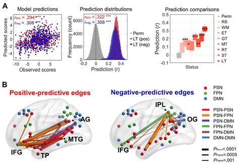 cross validated model prediction performance and the significantly
