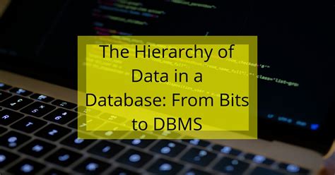 the hierarchy of data in a database from bits to dbms undercode testing