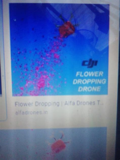 Flower Dropping Drone Drone Flower Shower Latest Price Manufacturers