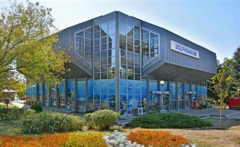 Делфинариум