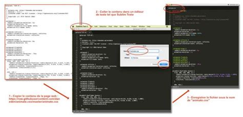 intégrer des animations dans wordpress avec animate css