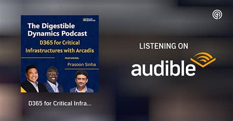 D365 For Critical Infrastructures With Arcadis The Digestible Dynamics Podcast Podcasts On