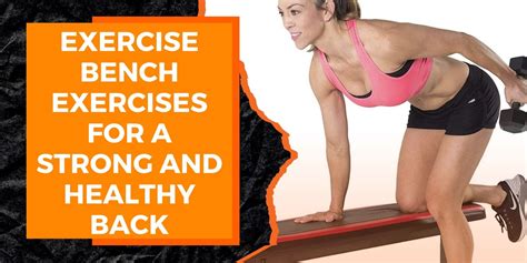 Exercise Bench Exercises For A Strong And Healthy Back Magma Fitness