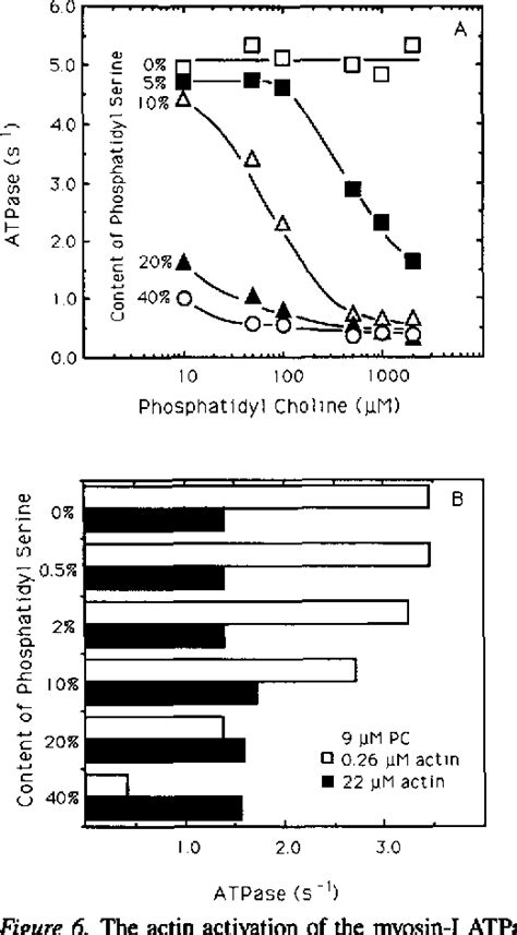 Figure 1 From Myosin I Moves Actin Filaments On A Phospholipid Substrate Implications For