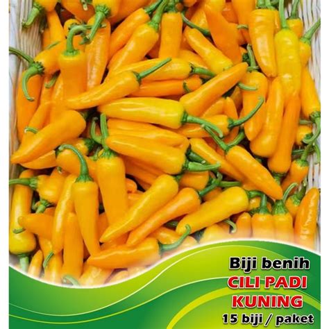 Biji Benih Cili Padi Kuning 15 Biji Sepacket Yellow Small Chilli