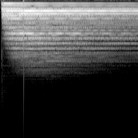 Fat2019 Preprocessed Mel Spectrogram Dataset Kaggle