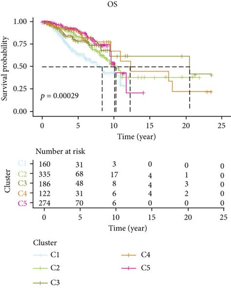 Consensus Clustering Of Metabolic Genes In Tcga Bc Dataset A Download Scientific Diagram