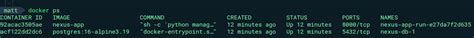 Postgresql Cannot Access Django Project Homepage Docker Stack