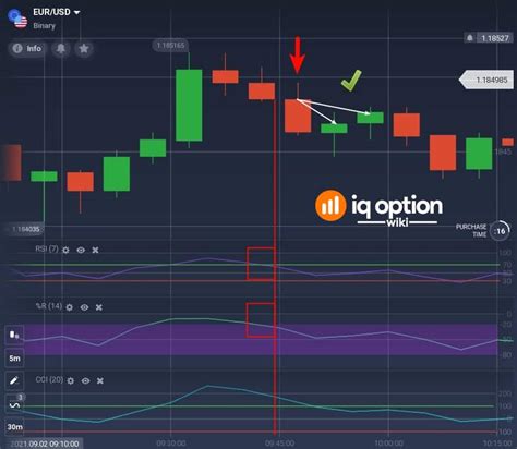 Oscillators In Binary Options Pinpointing Optimal Trading Moments Iq Option Wiki