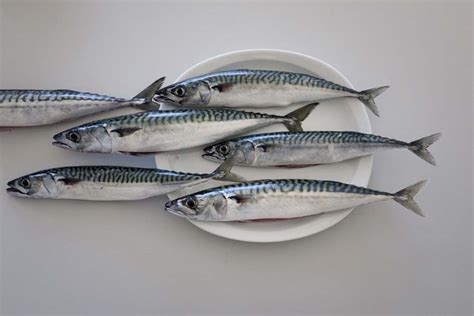 Your Holiday Pictures Marc Gibert The Eye Of Photography Magazine