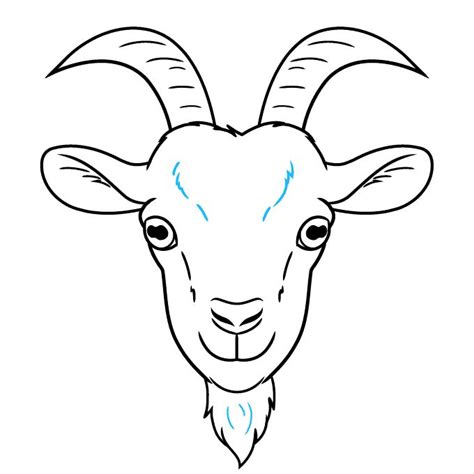 How To Draw A Goat Face Really Easy Drawing Tutorial Goat Art Easy