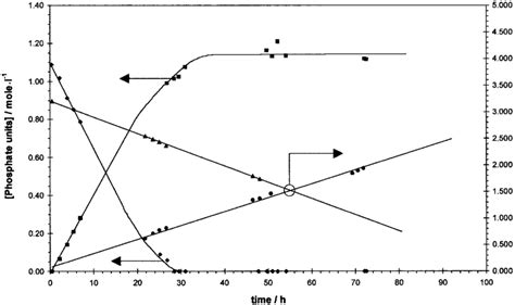 Hydrolysis Of Polyphosphate [ph 5 0 L Ph 5 0 25 M ] And The Download Scientific Diagram
