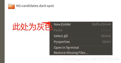 ubuntu下的nfs，由于windows下访问读写后权限改变，不能写入 ubuntu向windows写权限 csdn博客