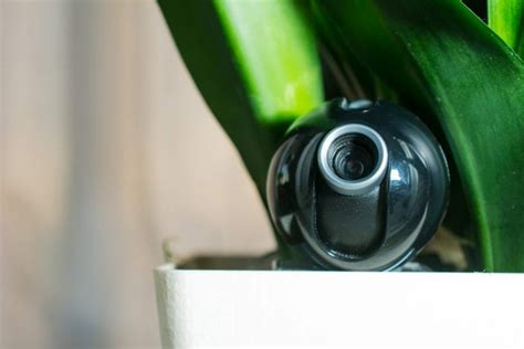 How To Hide A Camera In Plain Sight Ideas