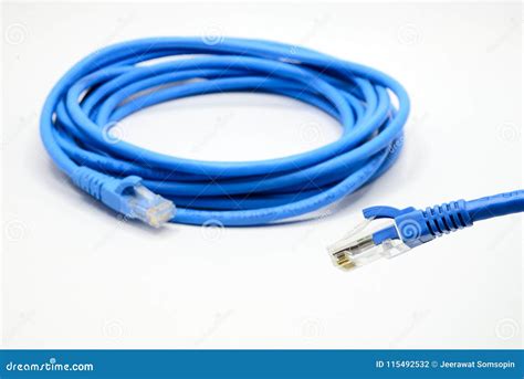 LAN Cable Connect To Network Device Stock Photo Image Of Connection Detail