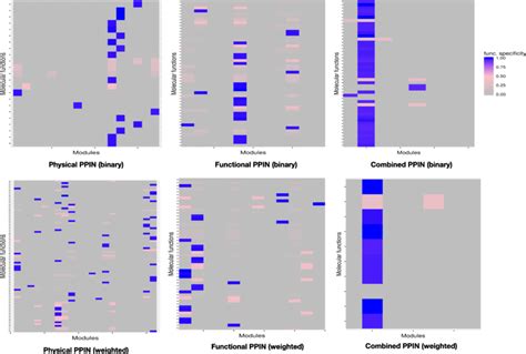 Functional Specificity Of Significantly Enriched Molecular Functions Of