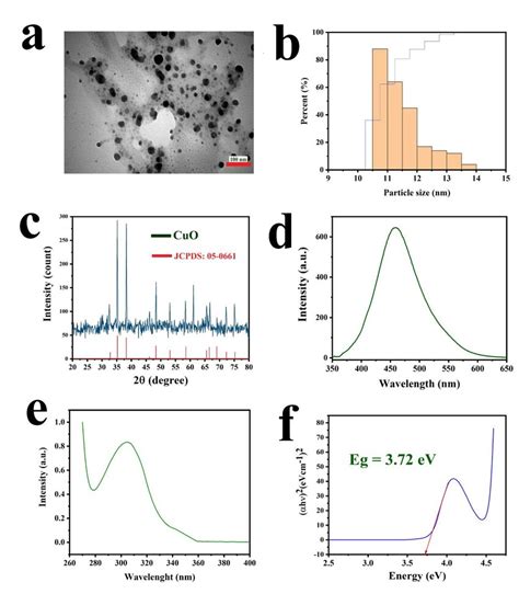 A Tem Images B Histogram Of Particle Size Distribution Based On Tem