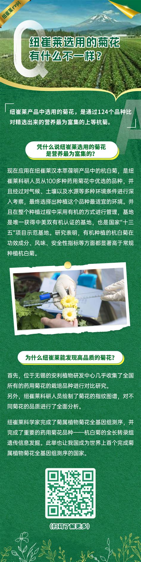 纽崔莱选用的菊花有什么不一样？ 安利（中国）官网
