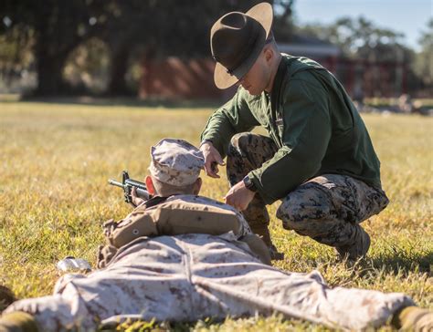 Dvids Images Delta Company Grass Week Image 2 Of 4