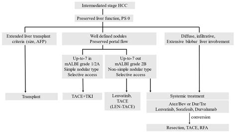 Treatment Strategy For Intermediate Stage Hepatocellular Carcinoma Transarterial