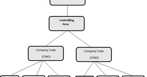Sap Co Organizational Structure ~ Sap Controlling Co