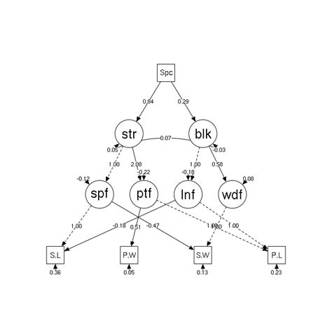 data visualization how to interpret this lavaan structural equation