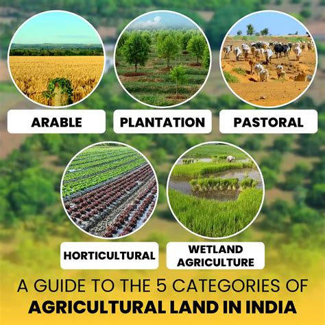 A Guide To The 5 Categories Of Agricultural Land In India