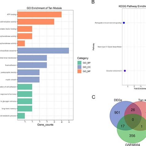 A B Go And Kegg Enrichment Analysis Of Genes In The Brown Module C