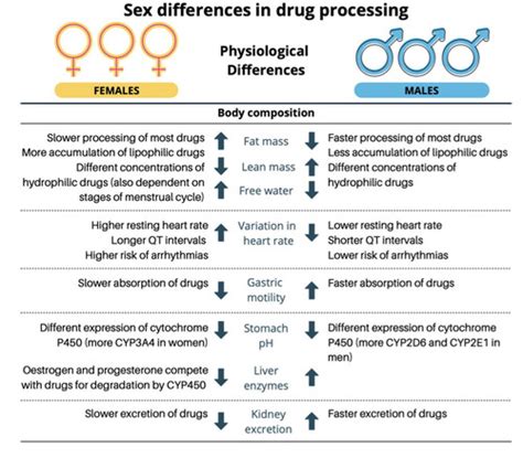 PK Final Exam New Material Flashcards Quizlet