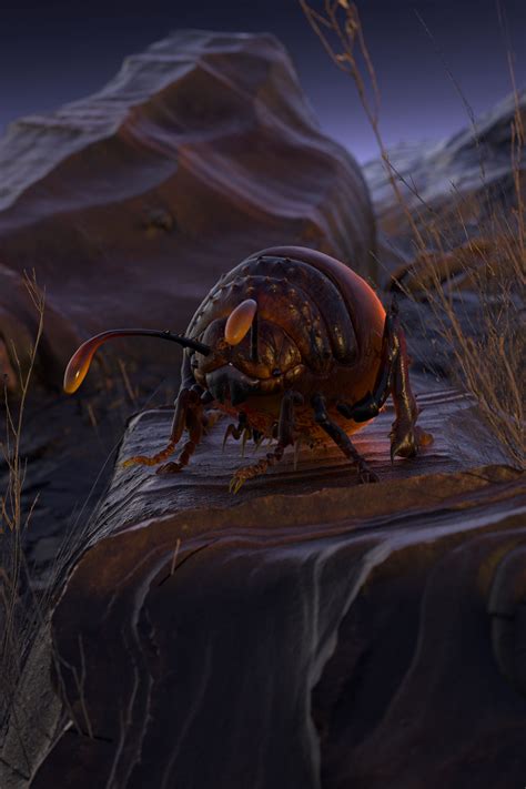 Translucent Bug Nina Marie Visuals