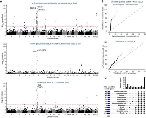Scpredixcan Integrates Deep Learning Methods And Single Cell Data Into
