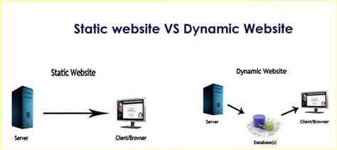 static website design versus dynamic website design ibrandox™