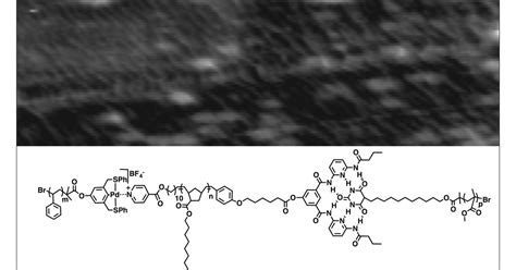 Abc Supramolecular Triblock Copolymer By Romp And Atrp Macromolecules