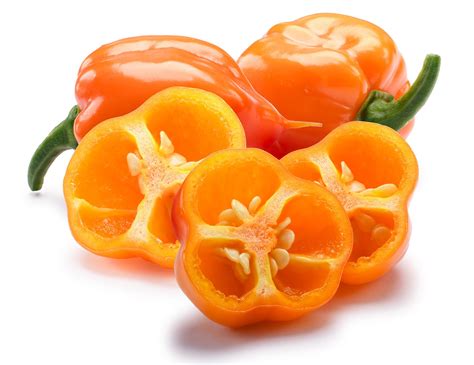 Orange Pepper