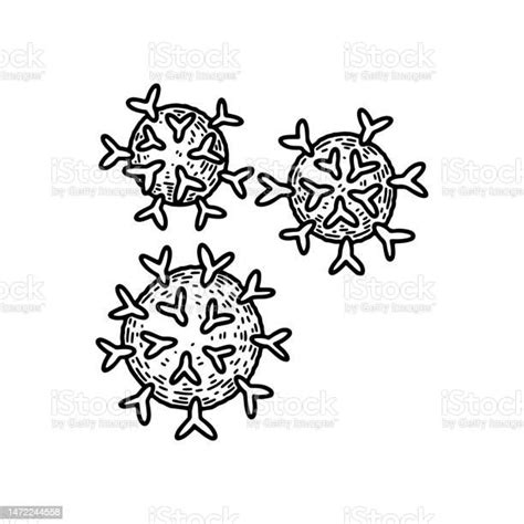 흰색 배경에 분리된 B 세포 스케치 스타일로 손으로 그린 과학 미생물학 벡터 삽화 적응 면역 체계 B세포에 대한 스톡 벡터 아트 및 기타 이미지 Istock