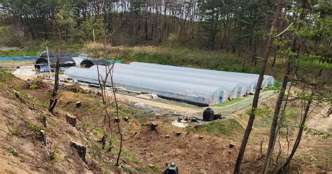 울진군 산불 피해지 경제적‧공익적 가치 높은 산림으로 조성