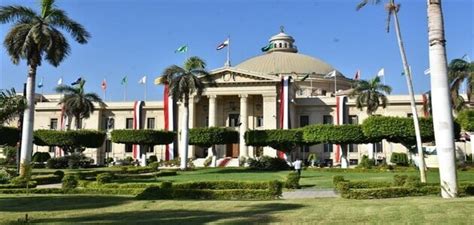 كلية الاقتصاد والعلوم السياسية جامعة القاهرة يلا نذاكر