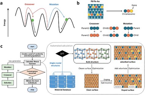 A A Diagram Depicting How New Structures Are Generated Within The