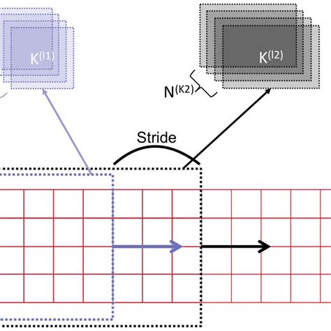 Convolution With Two Kernel Sizes Ie Two Temporal Granularity