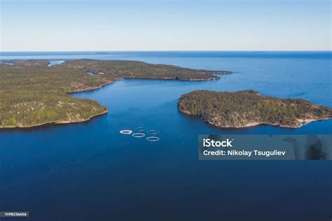 원형 바다 물고기 농장 케이지와 둥근 어망 연어 송어 대구를 양식하고 물고기에게 먹이를 주고 스칸디나비아 호수 풍경과 숲 섬 여름날의 공중 드론 보기 0명에 대한 스톡 사진