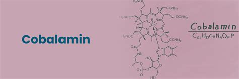 Cobalamin Benefits Deficiency And Treatment