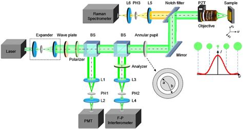 Schematic Diagram Of Brillouin Spectrum Broadening Compressed By