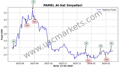 Pamel Hisse Hedef Fiyatı 2026 Pamel Enerji