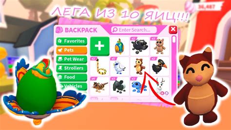 ЛЕГА ИЗ 10 ЯИЦ В РОБЛОКС АДОПТ МИ Tree Kangaroo Southeast Asia Egg Roblox Adoptme роблокс